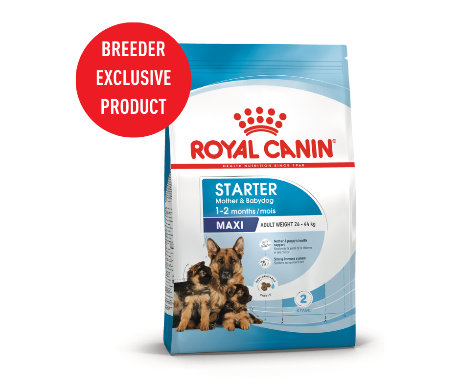 Maxi Mother & Babydog Starter | Royal Canin AU