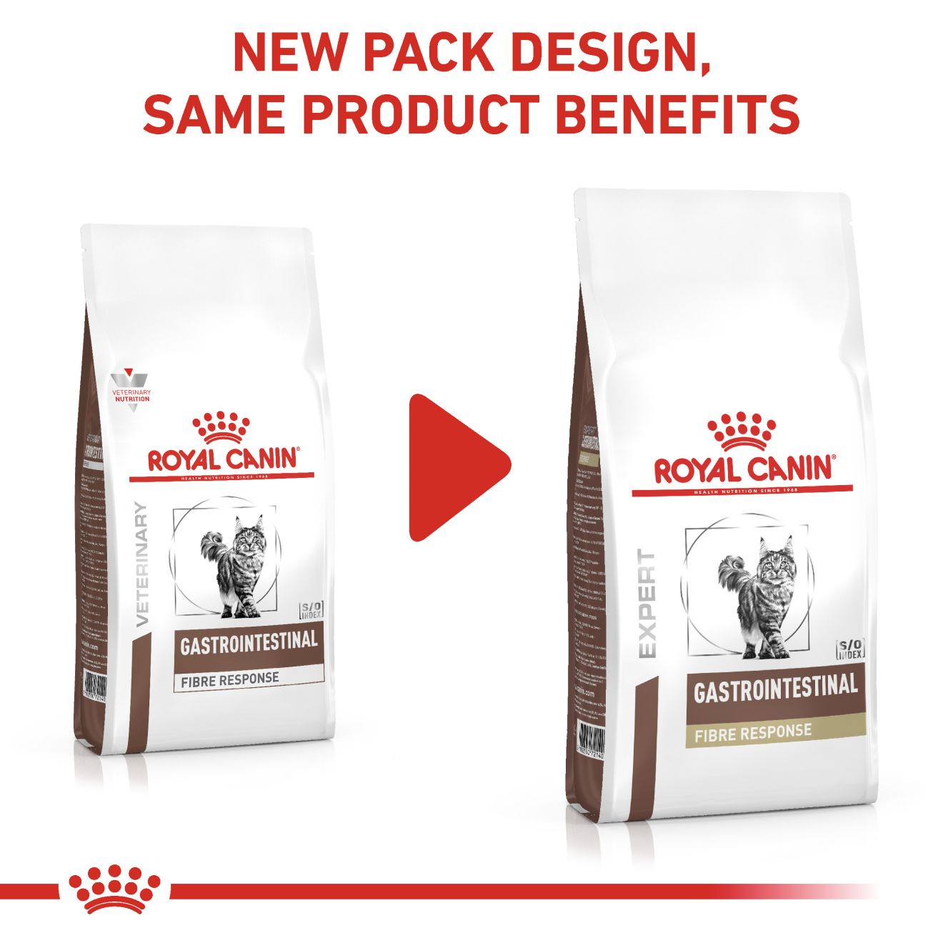 Royal Canin Gastrointestinal Fibre Response Dry Cat Food | Royal Canin IE