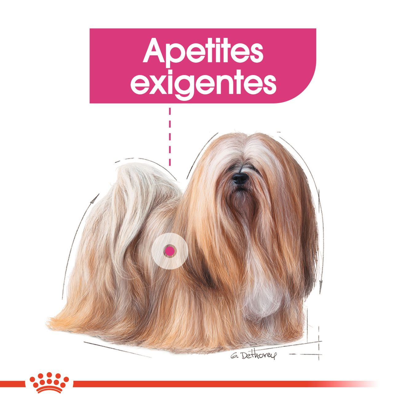 Mini Exigent | Royal Canin PT