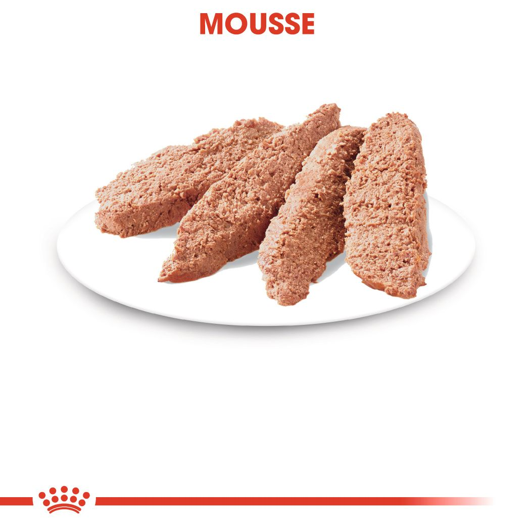 Instinctive mousse | Royal Canin FR