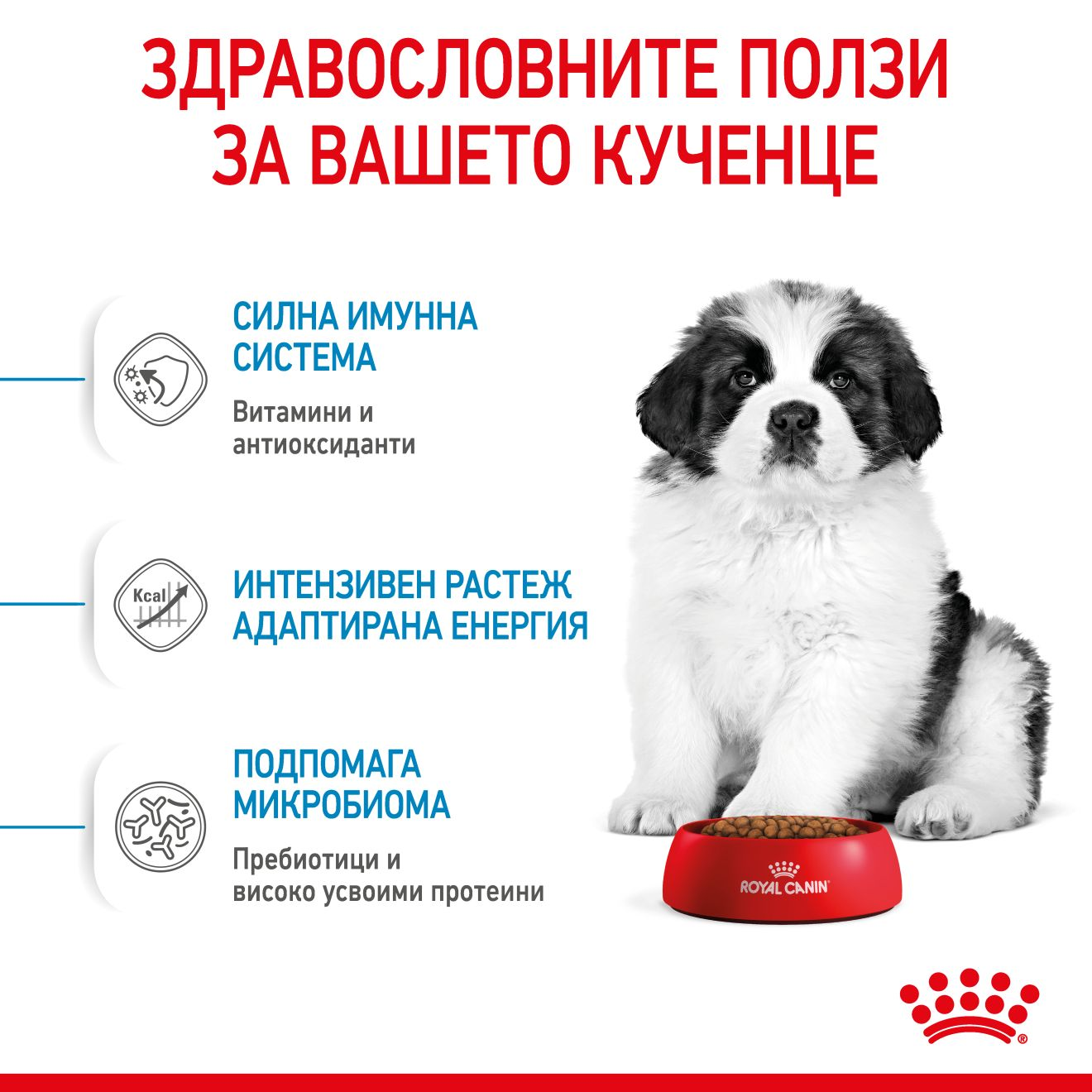 PUPPY - GIANT | Royal Canin BG