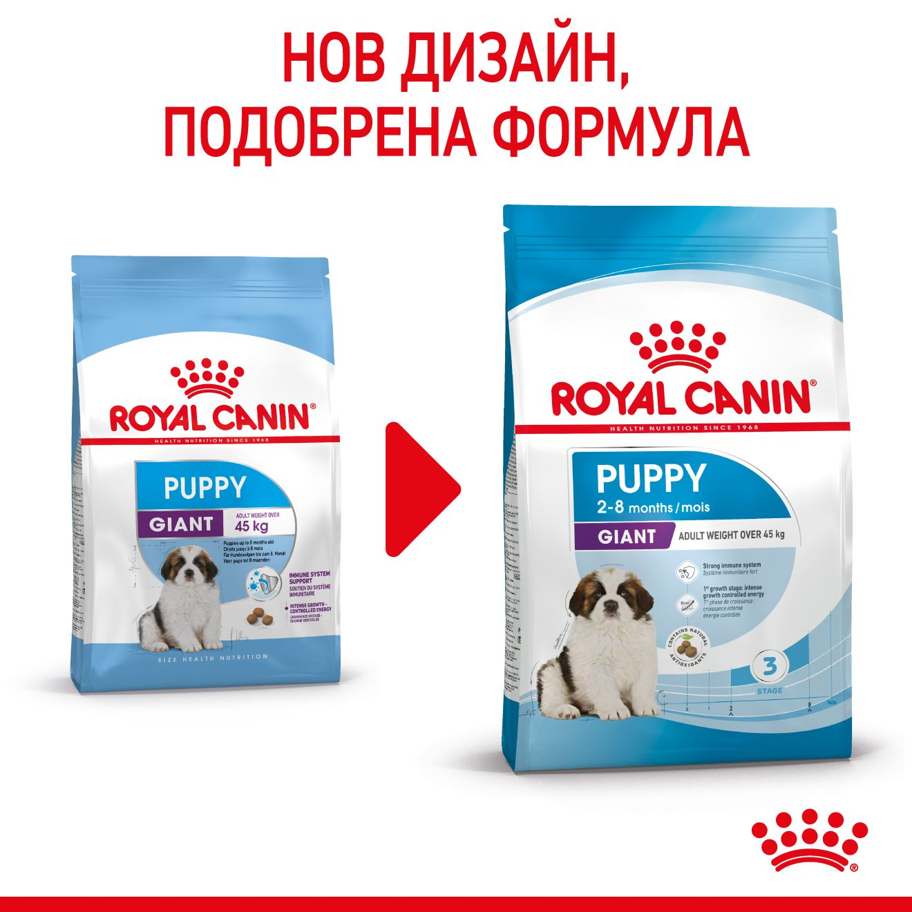PUPPY - GIANT | Royal Canin BG