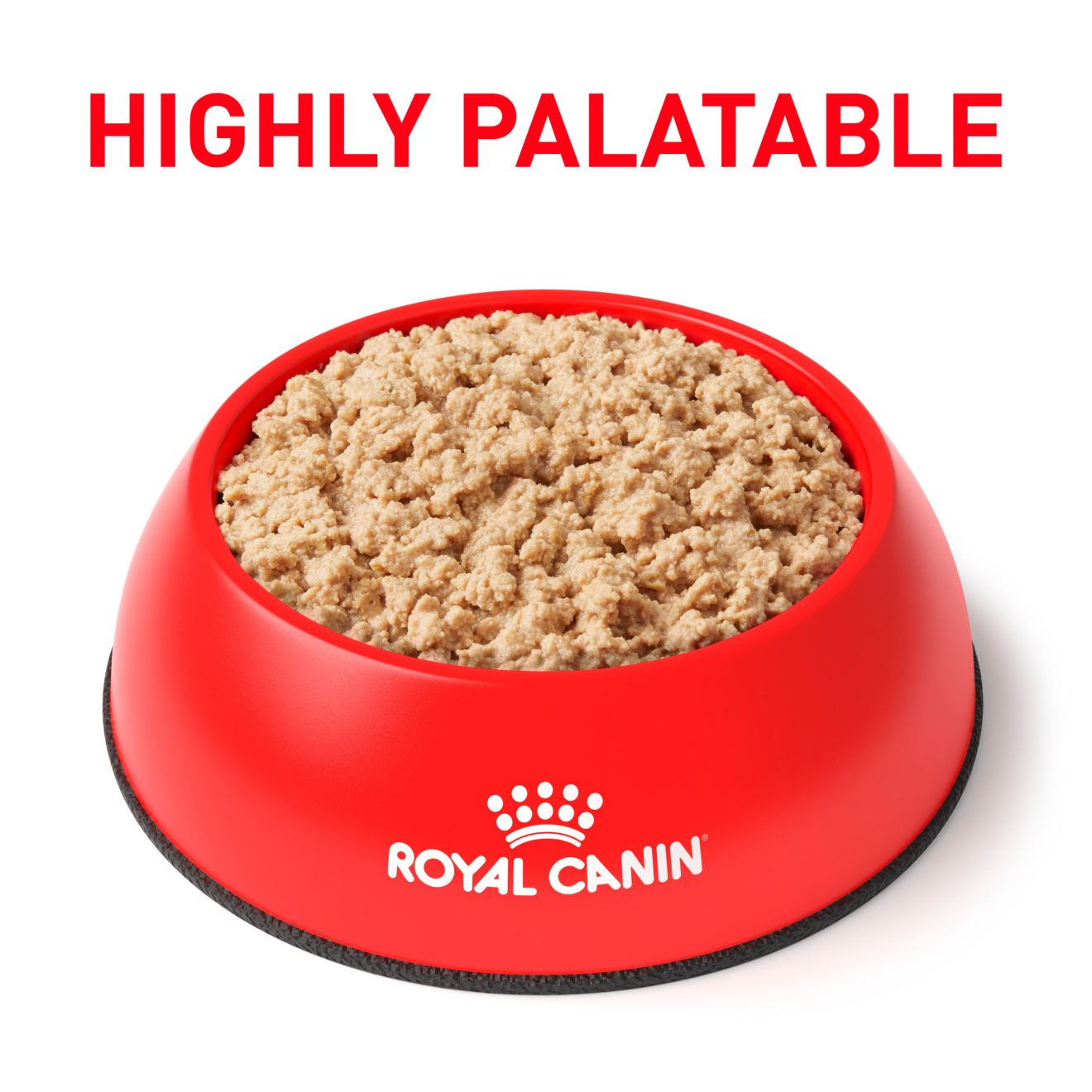Feline and Canine Recovery Ultra Soft Mousse in Sauce | Royal Canin US