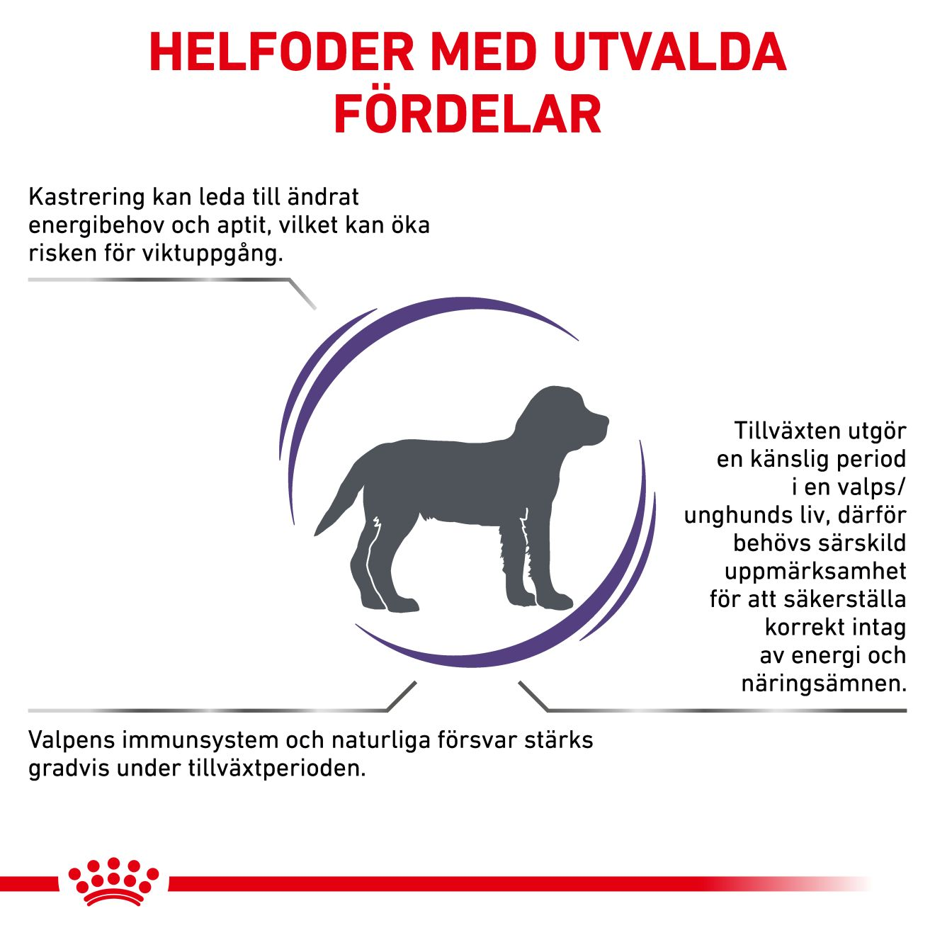 Health Neutered Junior | Royal Canin SE