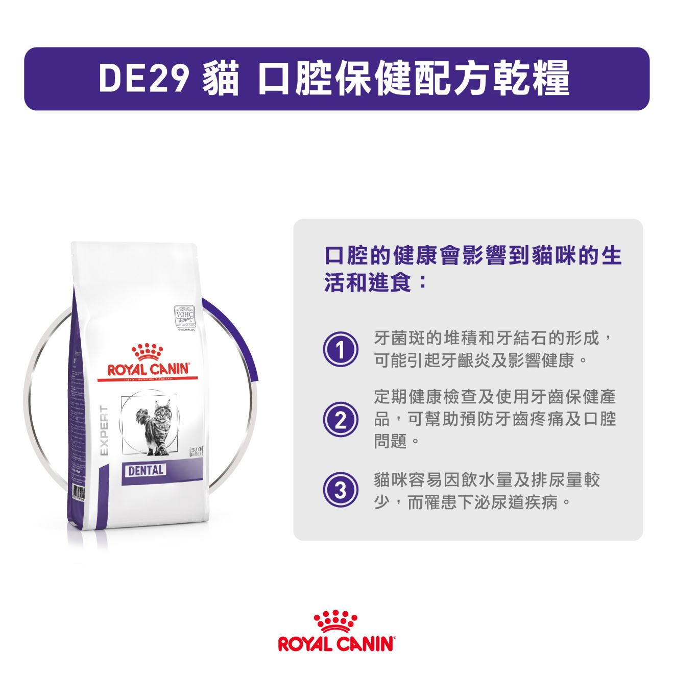 DE29 貓 口腔保健配方乾糧 | Royal Canin Taiwan