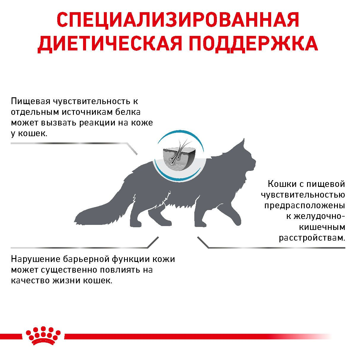 Sensitivity Control | Royal Canin UA