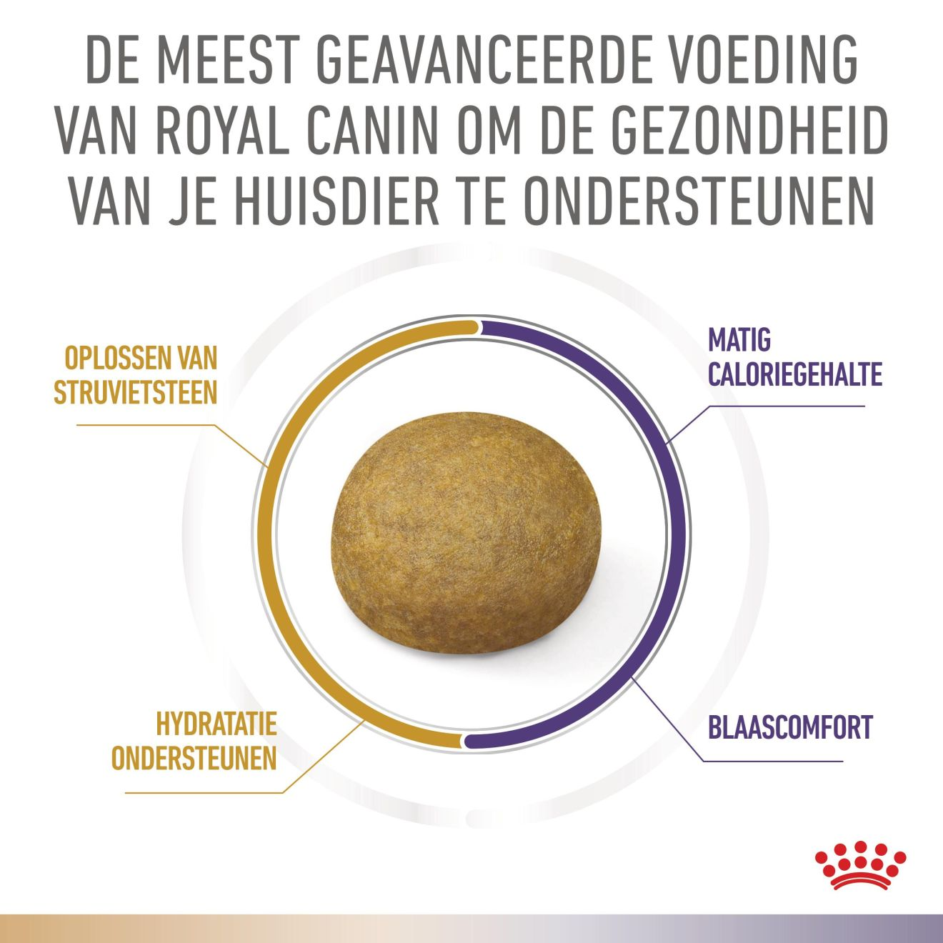 MULTIFUNCTION URINARY S/O + BLADDER COMFORT | Royal Canin NL
