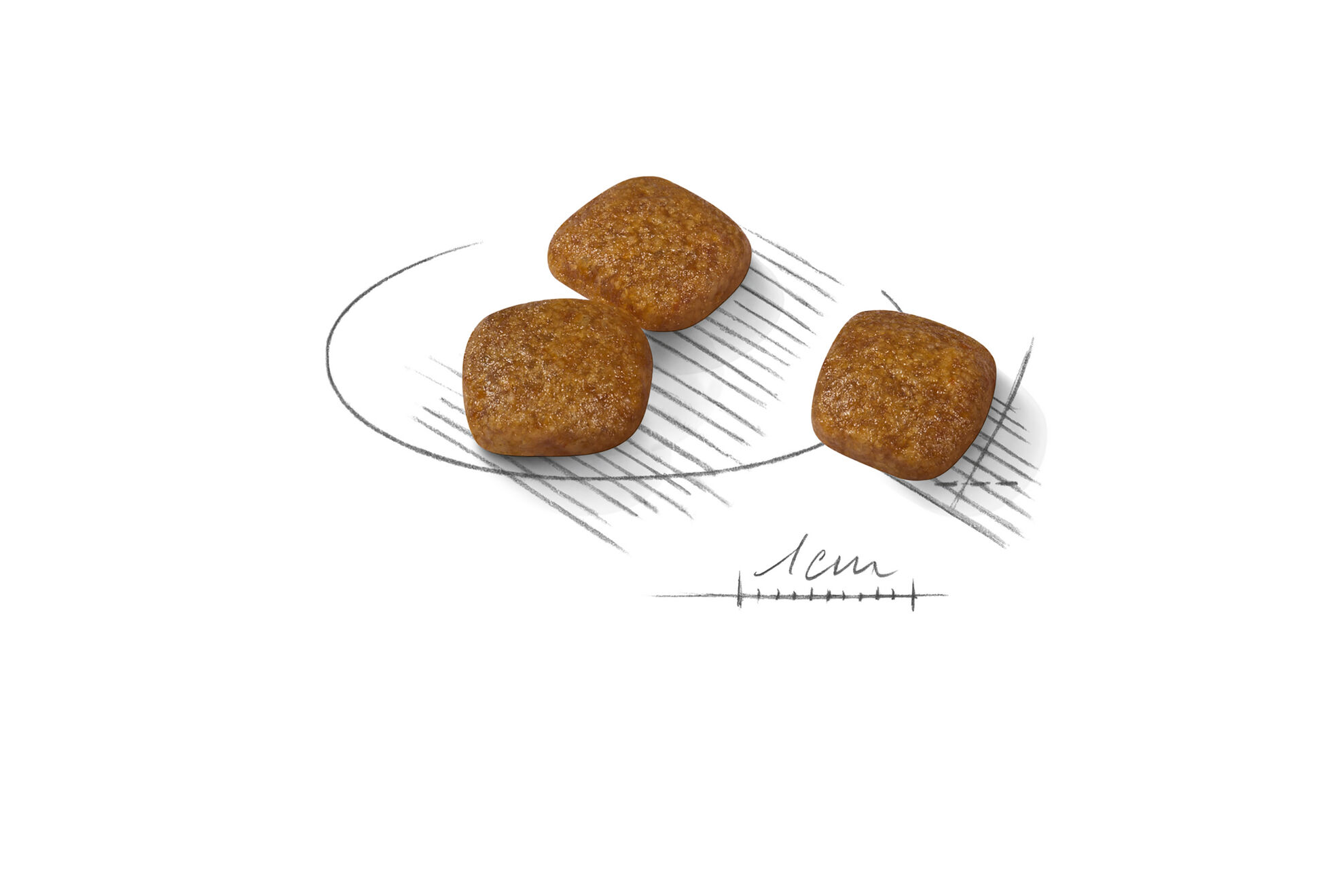 Mini Urinary Care | Royal Canin IN Mini Urinary Care | Royal Canin IN